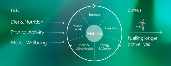 Healthy Ageing: The importance of dairy nutrition for lifelong mobility